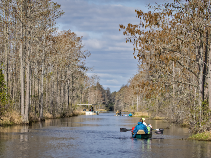 Twin Pines mining plan threatens iconic Okefenokee Swamp - Southern ...