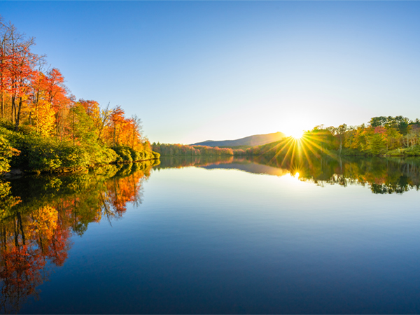 Our Focus: Clean Air and Water - SELC