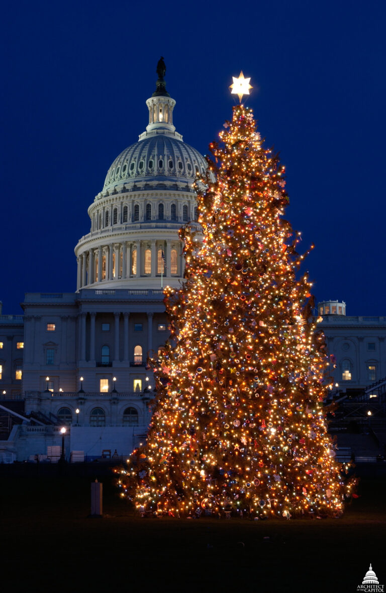 Pisgah National Forest provides Capitol Christmas Tree - Southern ...