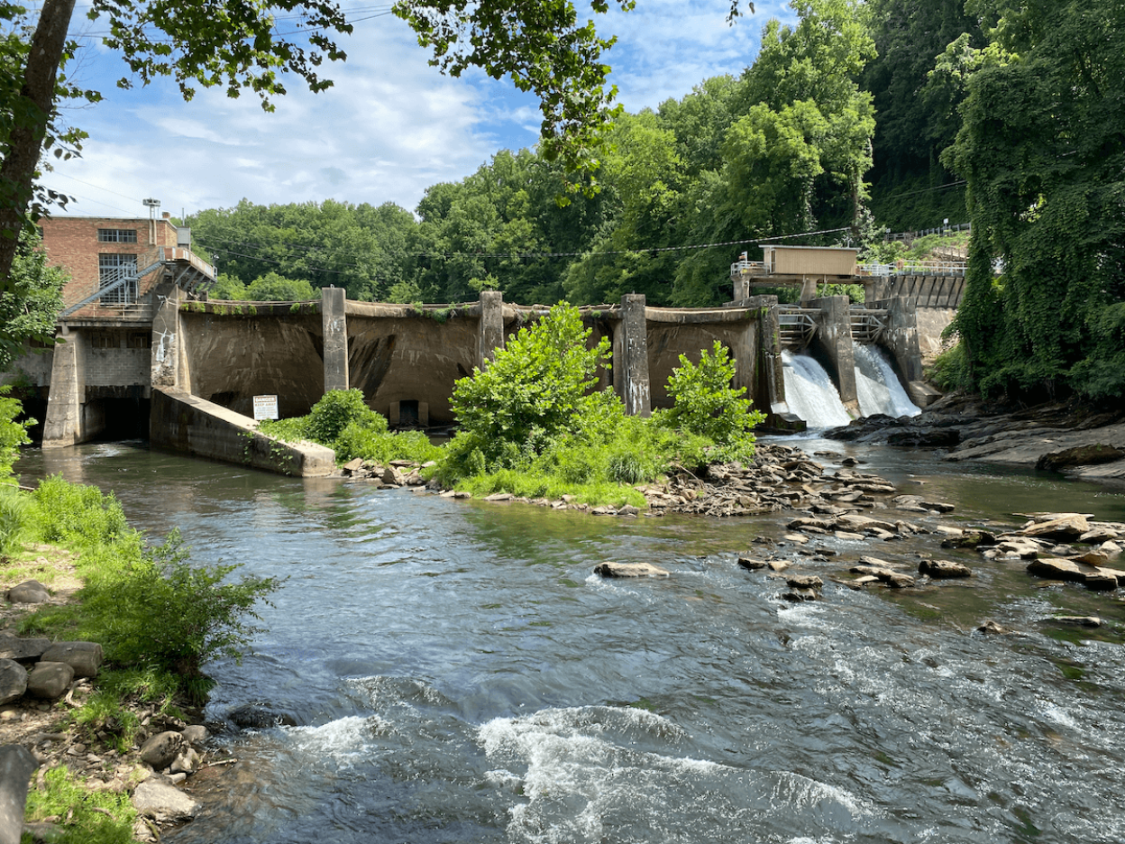 A freshwater ‘powerhouse’ is disappearing across the South - Southern ...
