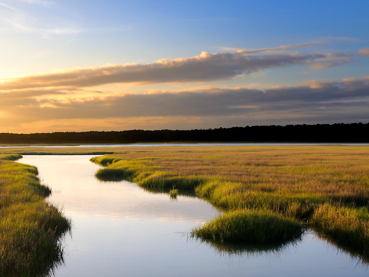 Latest in fight for national clean water protections - Southern ...