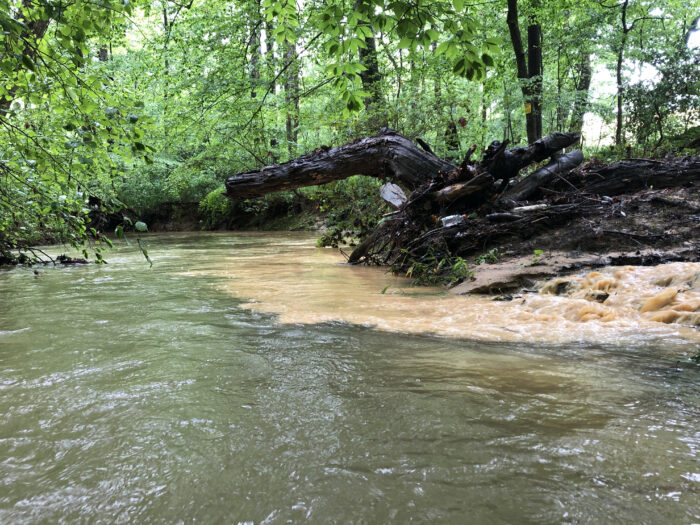 Clean water win: Stopping dangerous development practices in Alabama ...