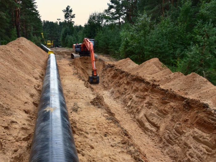 Duke's proposed Carbon Plan relies on tall tales - Southern ...
