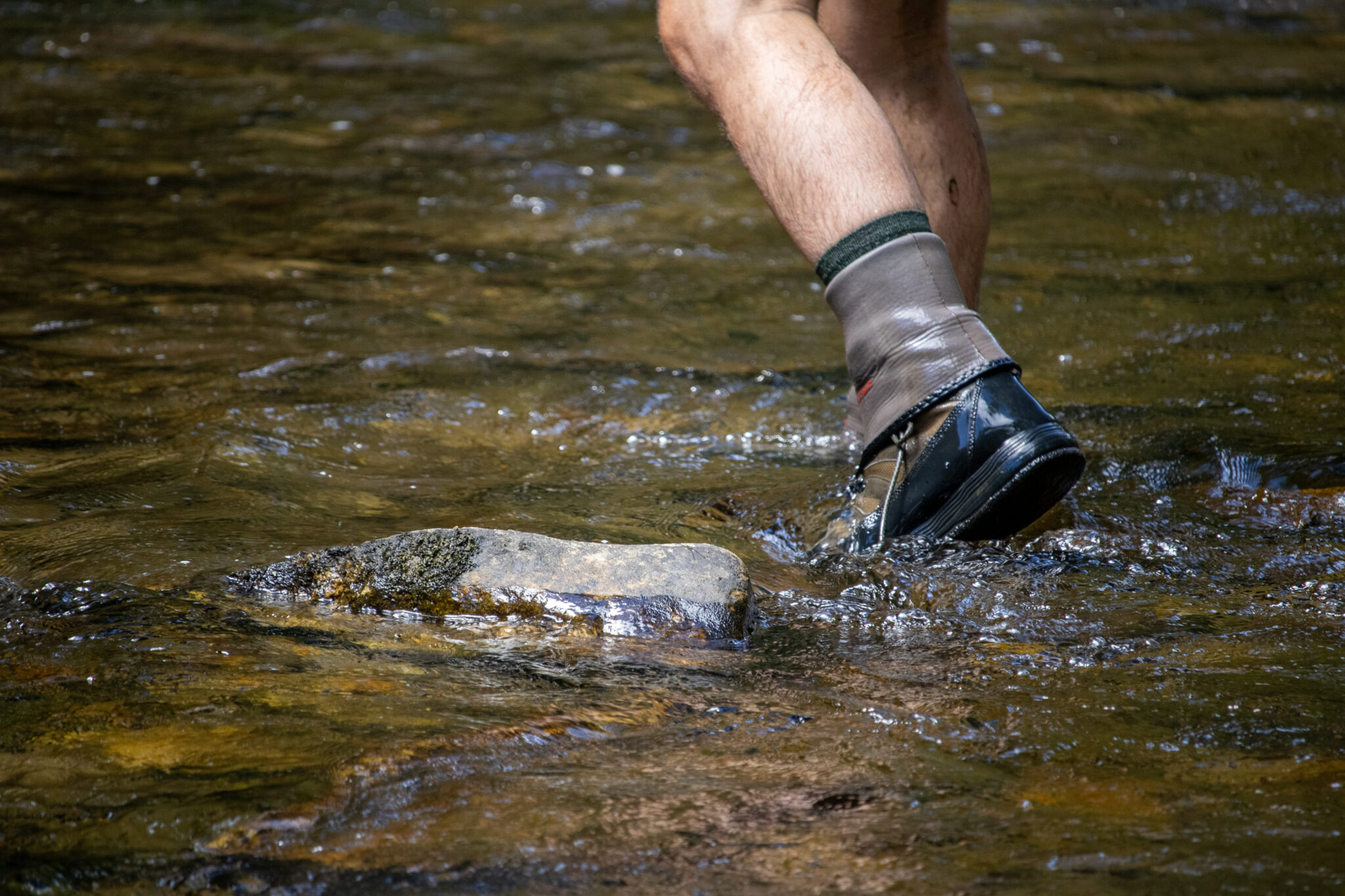 Southern hunters and anglers depend on roadless areas - Southern ...