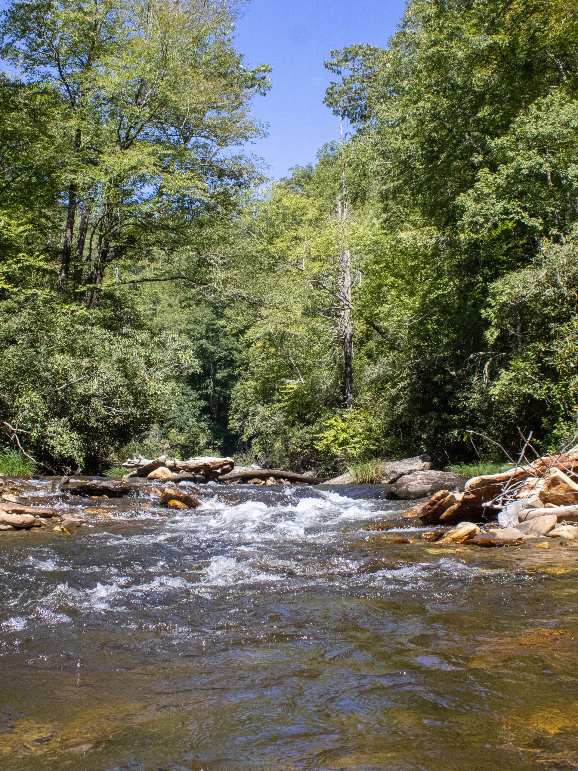 For Virginians, roadless areas mean clean drinking water - Southern ...